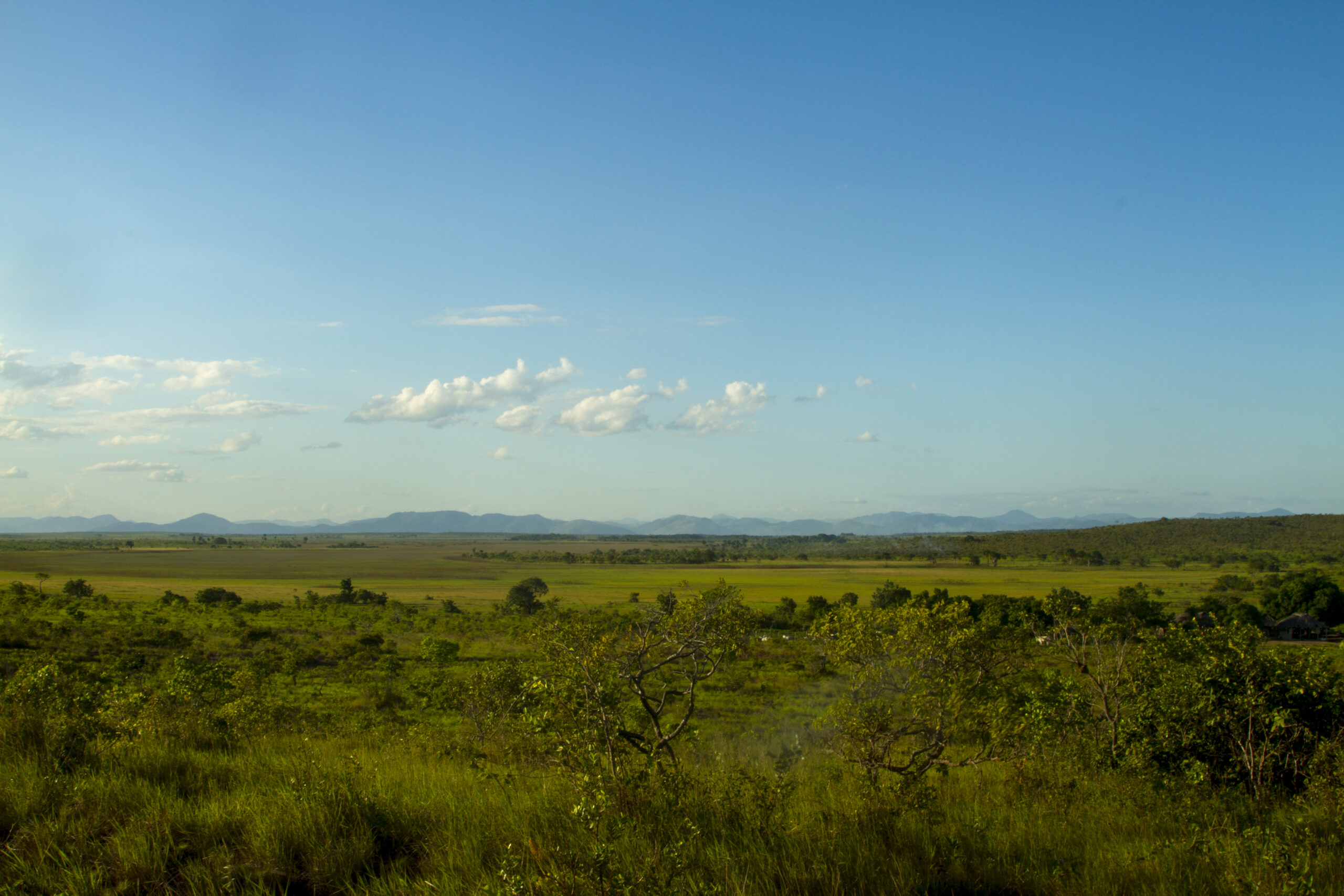 Official Website of Karanambu Lodge – A part of the Rupununi landscape ...