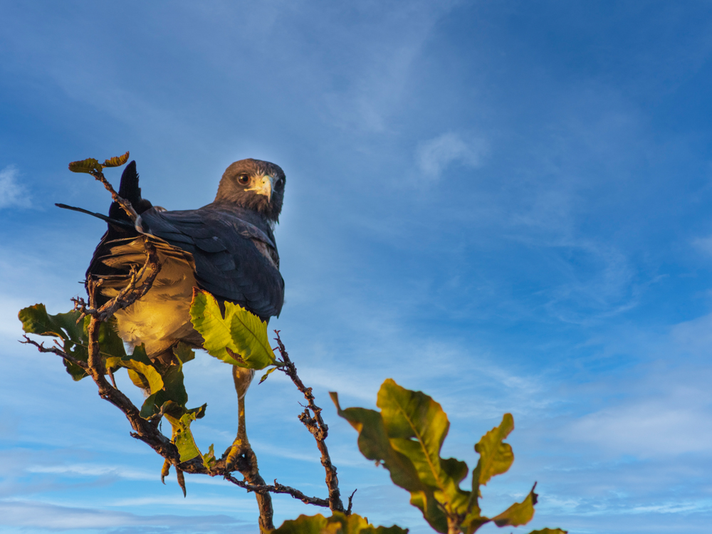 Activities – Official Website of Karanambu Lodge