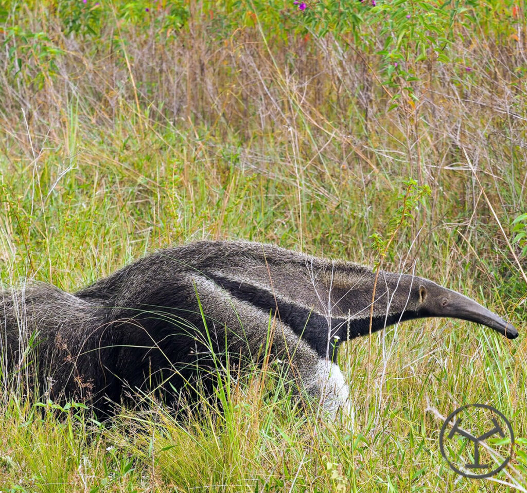 Activities – Official Website of Karanambu Lodge